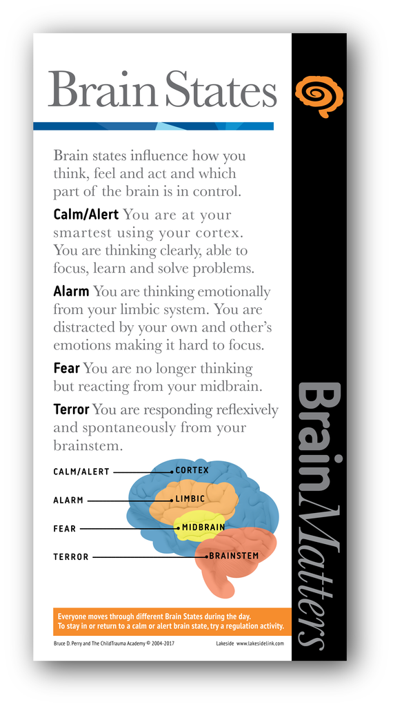 Brain Matters - Small Poster – Lakeside