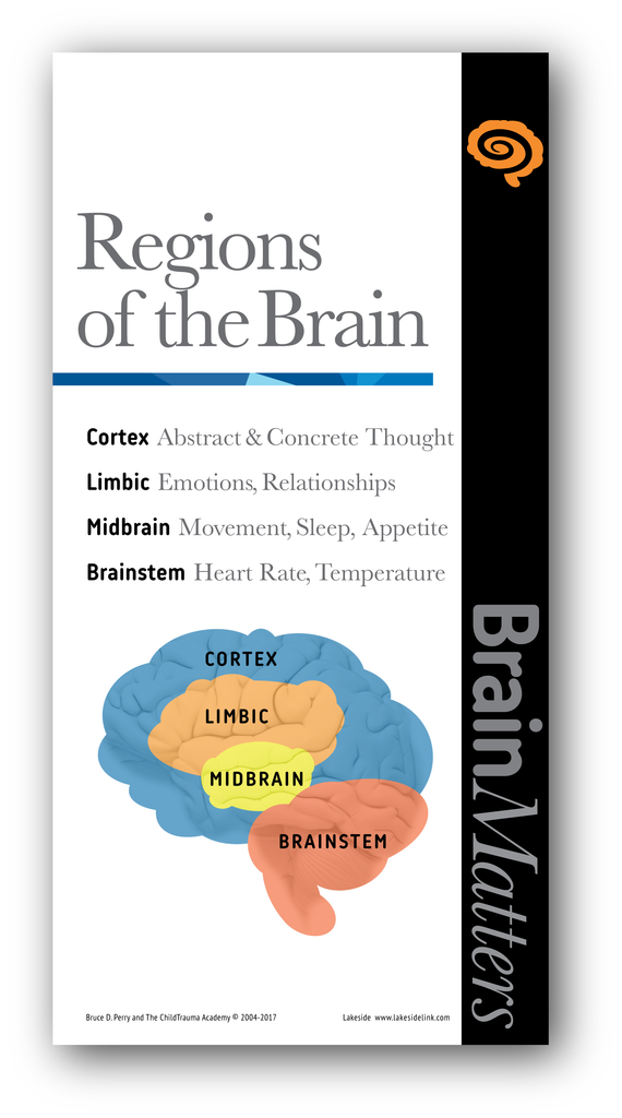 Brain Matters - Small Poster – Lakeside